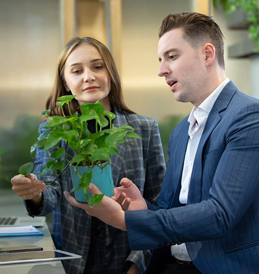 Forte - Salesforce Partner - Pledge